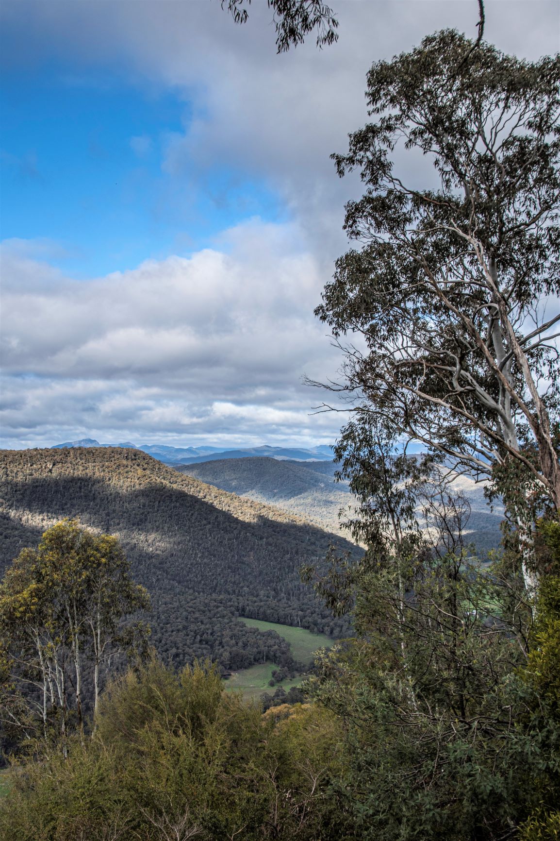Bushrangers and Wine in the King Valley, Victoria - Pack Up And Fly Away